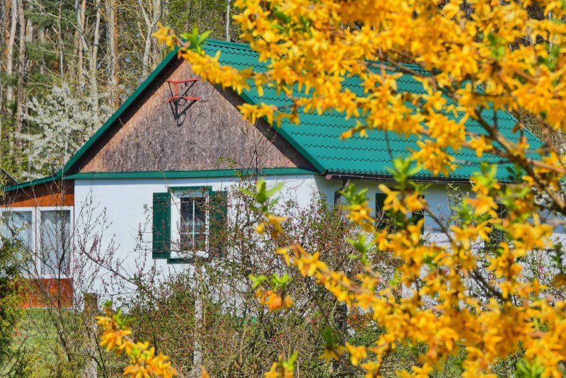 Tak prezentuje się wiosna w Emilcinie (zdjęcia) : Lublin112 ...